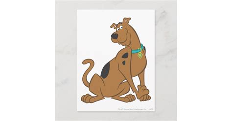 Scooby Doo Bashful Pose Postcard Zazzle