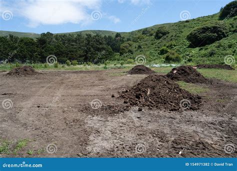 Large Mounds Of Manure And Compost Preparing For Use On Crops In Field Stock Photo Image Of