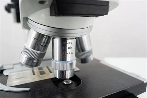 Leitz Laborlux S Microscope Gemini Bv