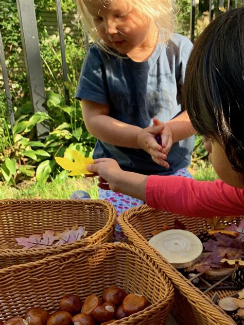 Use Sorting Early Math Counts