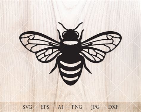 Honey Bee SVG Honeybee SVG Bee Silhouette PNG Bumble Bee Etsy