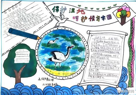 保护湿地文化手抄报 保护手抄报 普车都