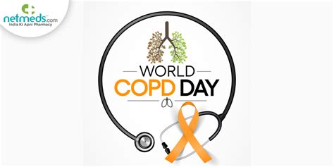 World Copd Day 2022 5 Natural Herbal Remedies To Improve Lung Health