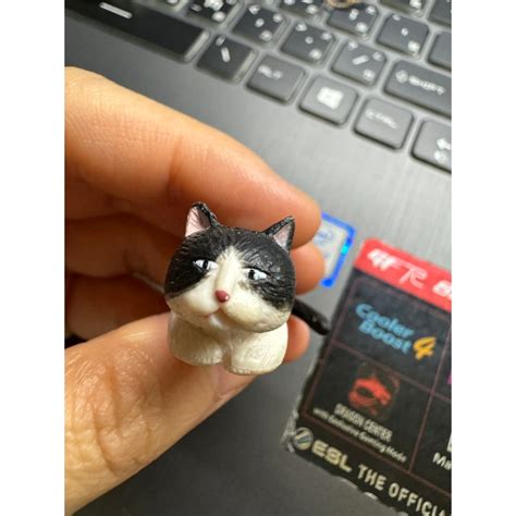 【二手缺件出清】kitan 奇譚俱樂部 扭蛋 轉蛋 動物好友系列 貓與烏鴉 現貨 蝦皮購物