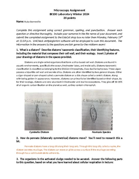 Microscopy Assignment W24 2 Microscopy Assignment Bi100 Laboratory Winter 2024 20 Points