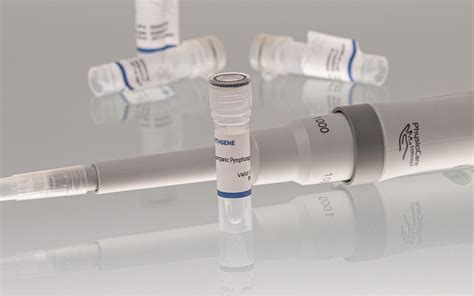 Inorganic Pyrophosphatase Bioron Gmbh