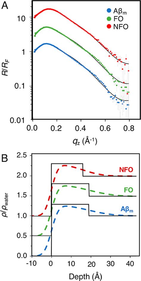 Figure 3 From Fibrillar And Non Fibrillar Amyloid Beta Structures Drive Two Modes Of Membrane