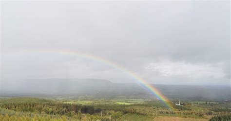 Parish Church Of St James The Great Cradley The Glastonbury Thorn Is