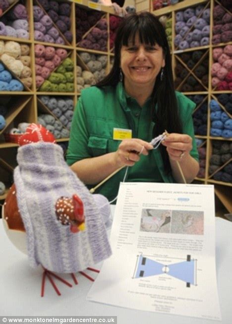 Knit One Cluck One Somerset Craft Club Keeps Bald Rescue Hens Warm By