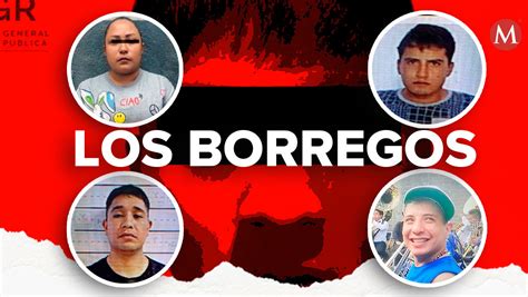 Los Borregos Brazo Armado Del Cártel De Tláhuac Así Operan En