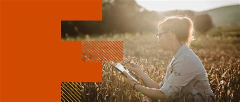 Csrd Lookbook Strukturera Csrd Rapporten Pwc