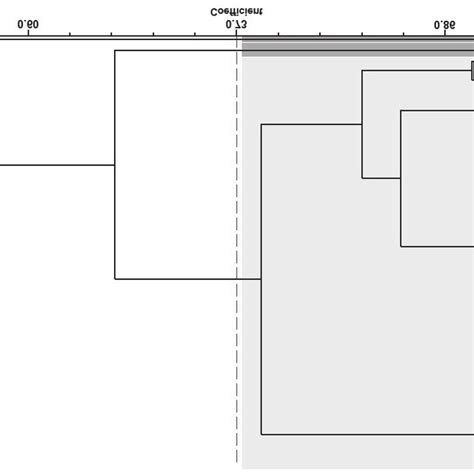 Unweighted Pair Group Method Arithmetic Average Upgma Dendrogram With