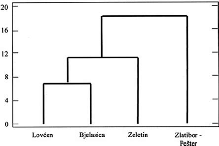 Dendrogram Of Eight Morpho Anatomical Properties Of Pinus Heldreichii