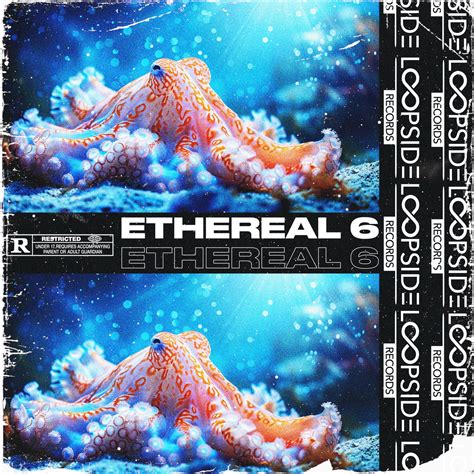 [10 ] Loopside Records Ethereal 6 Loop Kit And Midi Kit