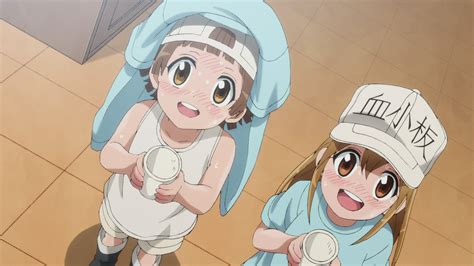 Watch Cells At Work Season 1 Episode 11 Sub And Dub Anime Uncut