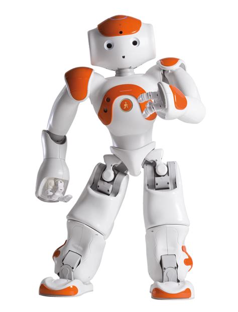 Învaţă să programezi un robot umanoid la cursul ECDL Computing