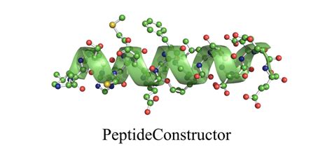 Peptideconstructor 一个简单的多肽建模库 知乎