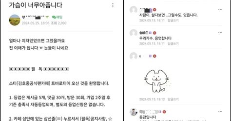 살다 보면 그럴 수도 있지 뺑소니도 소용없는 김호중 팬카페