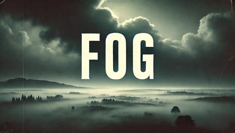 Florida Drivers Face Dense Fog Advisory Until 10 Am Thursday Country