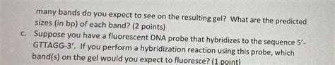 Solved 3 For The Following Dna Sequence 5