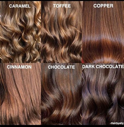 Brown Hair Color Shades Hair Color And Cut Brown Hair Colors Bronze