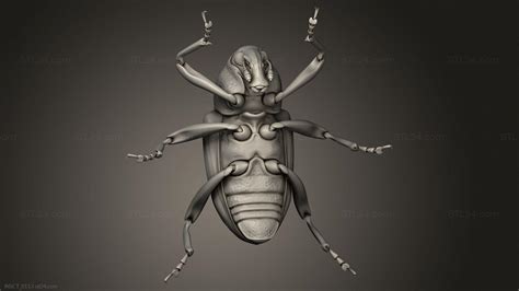 Насекомые Насекомые жук Insct 0113 3d модель для ЧПУ станка