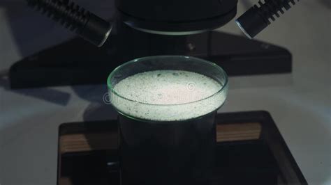 A Student Operates An Electron Microscope And Looks At Grains Of Quartz