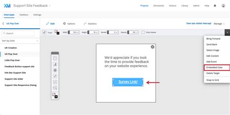 Embedded Data In Website Feedback