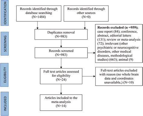 Functional Decoding And Meta Analytic Connectivity Modeling In Thyroid Associated Ophthalmopathy