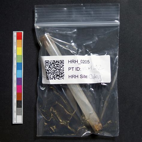 Was Ecstasydata Test Details Result 19587 Meth 19587