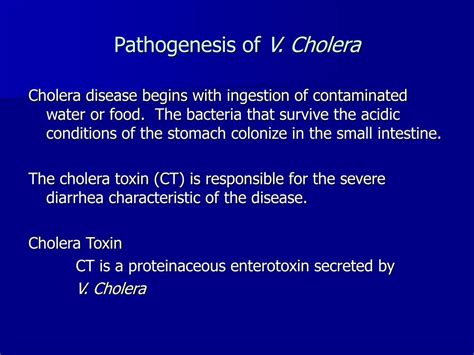 Ppt Vibrio Cholera Powerpoint Presentation Free Download Id226884