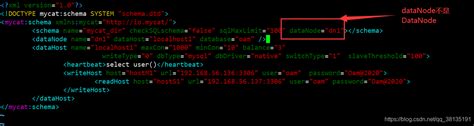 Mycat启动报错排查wrappersimpleapp Encountered An Error Running Mai Csdn博客