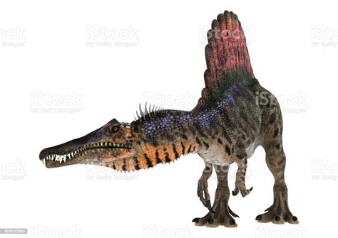 화이트에 3d 렌더링 공룡 깃 0명에 대한 스톡 사진 및 기타 이미지 0명 3차원 형태 고기 Istock