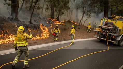 Firefighters On Tenerife Battle Huge Blazes Sky News Australia