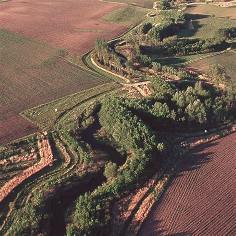 Using Vegetative Filter Strips To Improve Water Quality Publications Agrilife Learn
