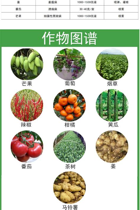科迪华 杜邦 可杀得3000三千叁仟氢氧化铜姜瘟病细菌病农药杀菌剂 阿里巴巴
