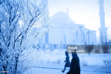 겨울 아침에 하프로스트로 덮인 나무와 지나가는 사람들 개념에 대한 스톡 사진 및 기타 이미지 개념 거리 건축 Istock