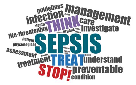 Exploring The Sepsis Care Bundle New E Learning Resource The