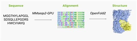 Accelerate Protein Structure Inference Over 100x With Nvidia Rtx Pro 6000 Blackwell Server