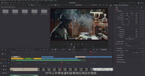 Davinci Resolve
