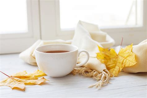 복사 공간이있는 나무 배경의 스카프 옆에 차 또는 커피 한 잔이있는 가을 잎 10월에 대한 스톡 사진 및 기타 이미지 10월 11월 9월 Istock