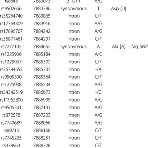 Single Nucleotide Polymorphism SNP Information Download Table