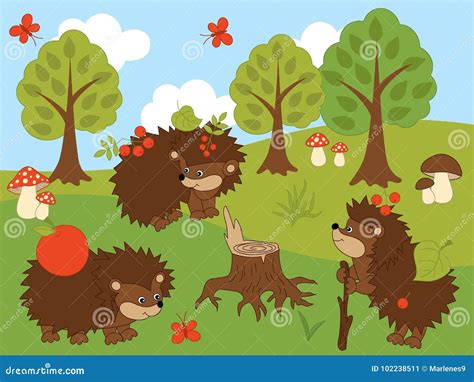 Vector Set Of Cute Cartoon Hedgehogs Stock Vector Illustration Of