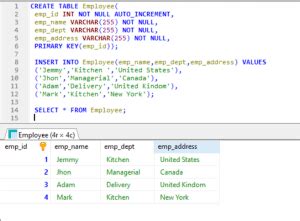 MariaDB AUTO INCREMENT Examples DatabaseFAQs