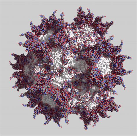 Large Scale And Interactive Scientific Visualization Molecular Visualization