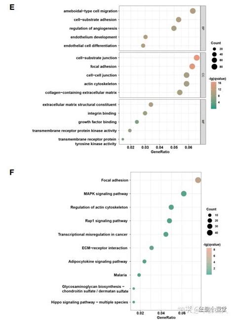 8肿瘤纯生信，基于烟酰胺代谢的肿瘤分型分析，烟酰胺代谢在各类疾病中也是个不错的主题！ 知乎