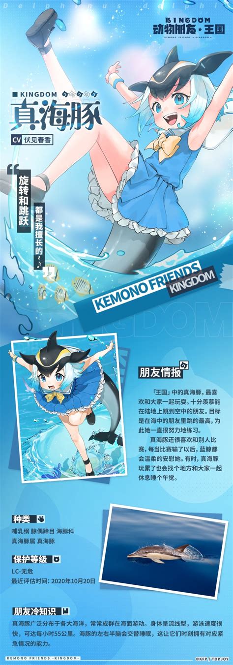 Common Dolphin Kemono Friends Kemono Friends Kemono Friends Kingdom Black Footwear