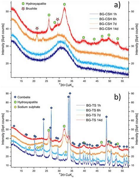 Xrd Patterns Of The Ts And Csh Samples After Immersion In Sbf For Up To Download Scientific