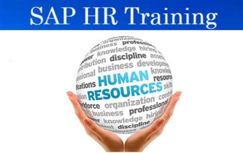 Sap Hcm Human Capital Management Certification Cost And Course Duration In India Sap Fico Sap