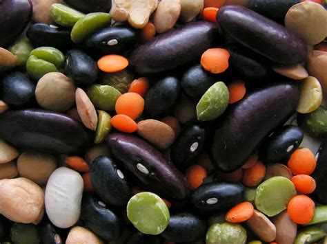Alimentos Para Hacer Crecer El Cabello Hasta La Cintura